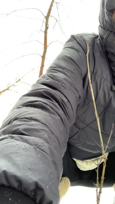 TW Pornstars - GoneWild Public😜🙈 116K. Pictures and videos from Twitter.