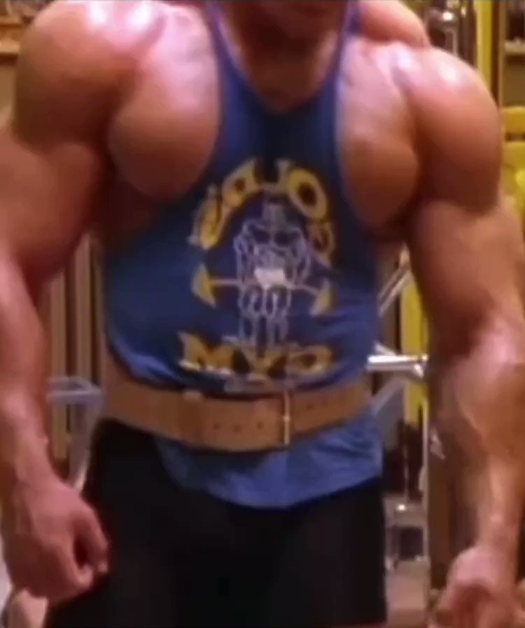 Muscle Worship 🇬🇧 on Twitter: Muscle Worship 🇬🇧 on Twitter: