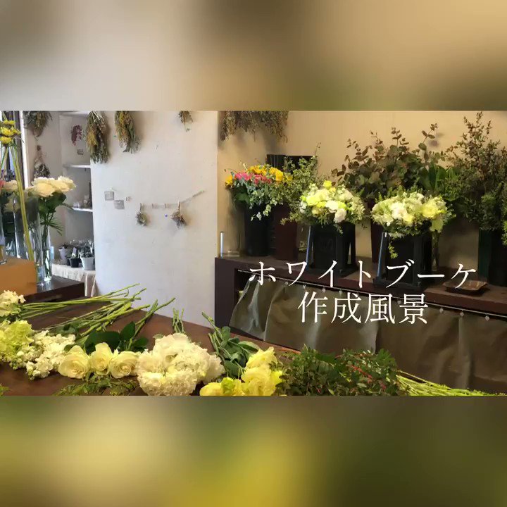 floristlittleseed on X: floristlittleseed on X: