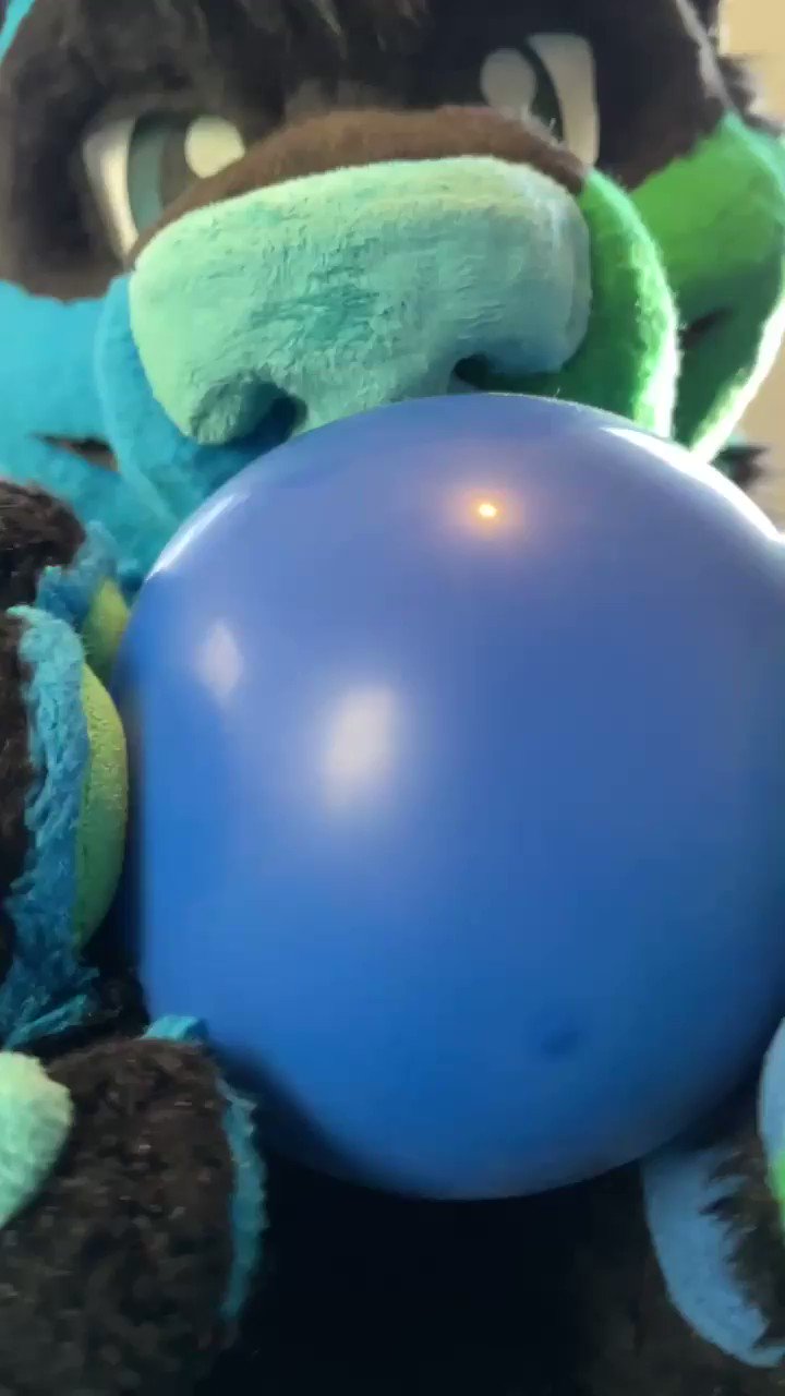Squishy Fox on Twitter: "RT @Toonerswolf: *blows a big balloon up in your face* #squeakysaturday ...