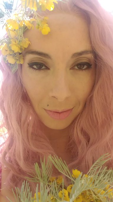 Tw Pornstars Roxy Renee Las Vegas Adventure Gf Videos From Twitter