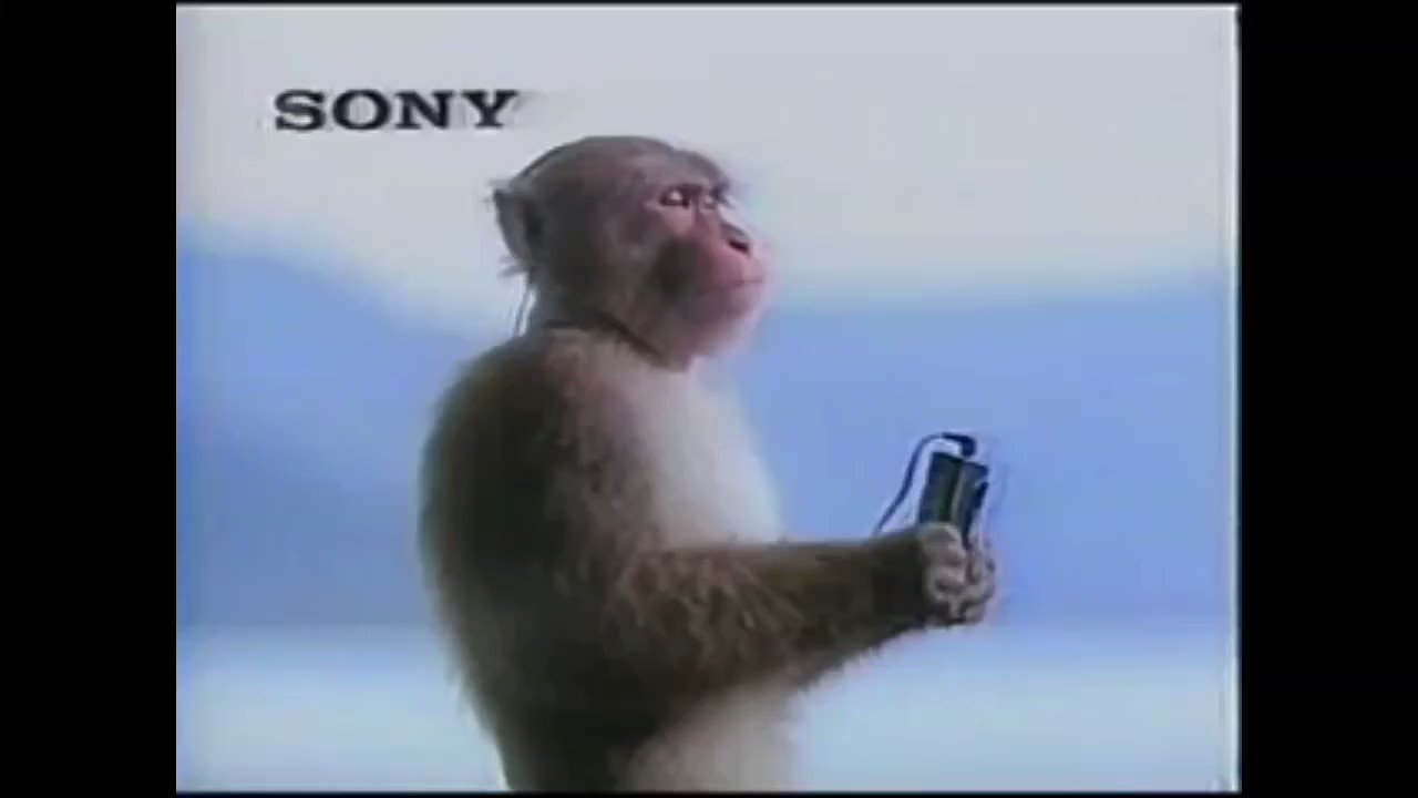 JAPANFESS TERANG on Twitter: "*jpf you just had to be there https://t.co/zwMGW6ahvi" / Twitter