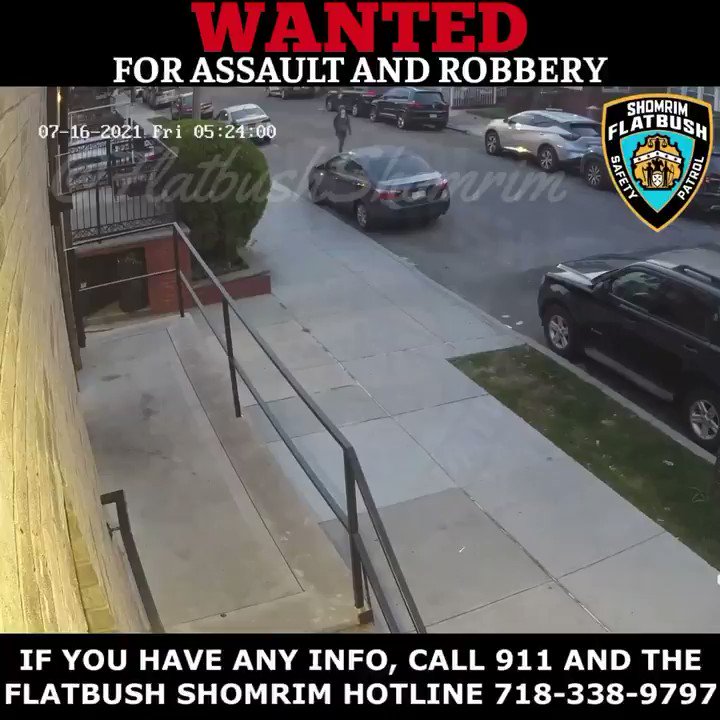 Flatbush Shomrim Safety Patrol On Twitter This Pair Viciously