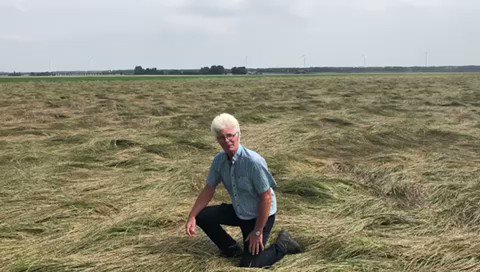 DLF BV on Twitter: "De #graszaadoogst is in volle gang. Het is maatwerk om te bepalen welk ...