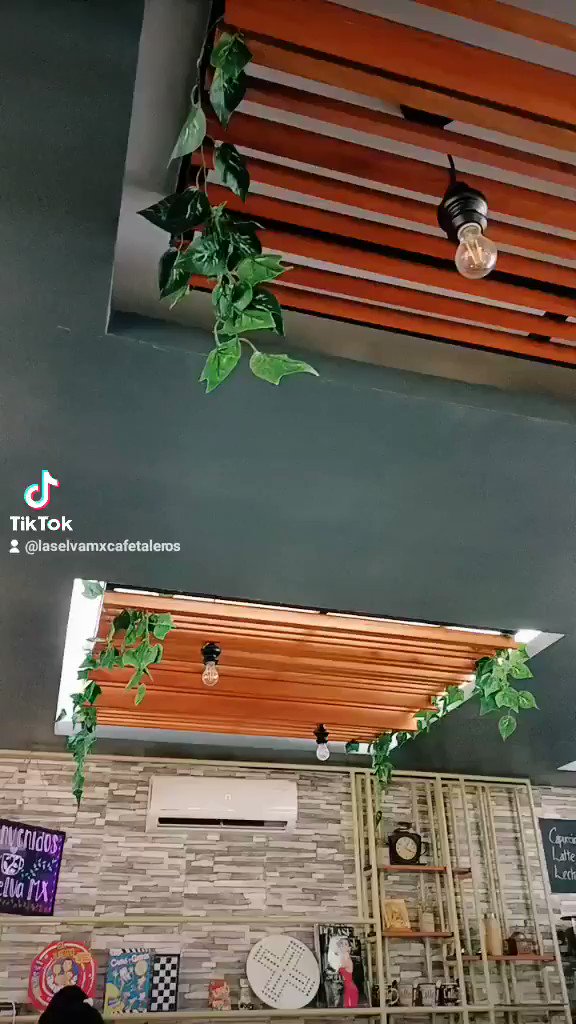 La SELVA Mx Cafetaleros on Twitter: La SELVA Mx Cafetaleros on Twitter:
