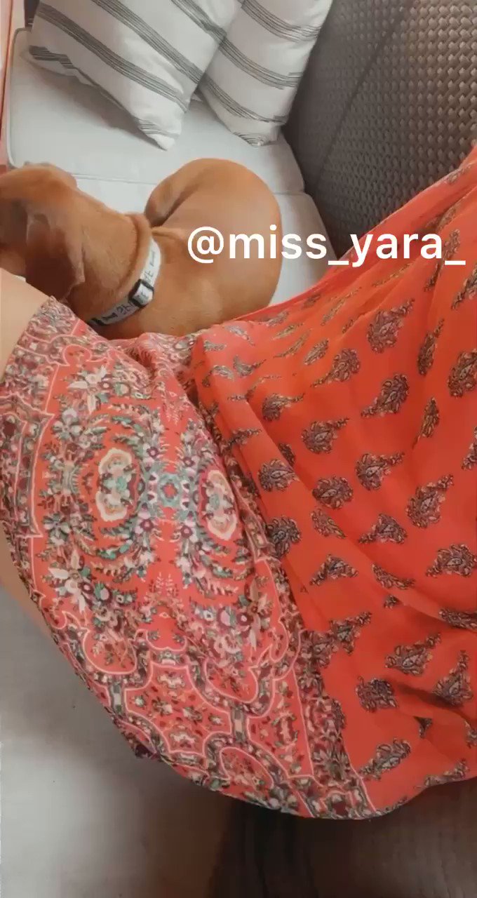 Missyara Missyara Twitter