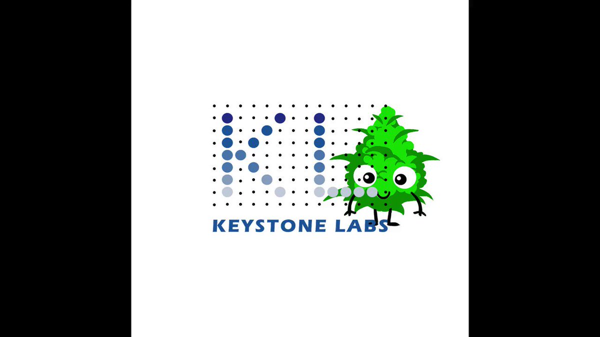 Keystone Labs on Twitter: "We'd like to introduce our friend, Buddy the cannabis bud. He has ...