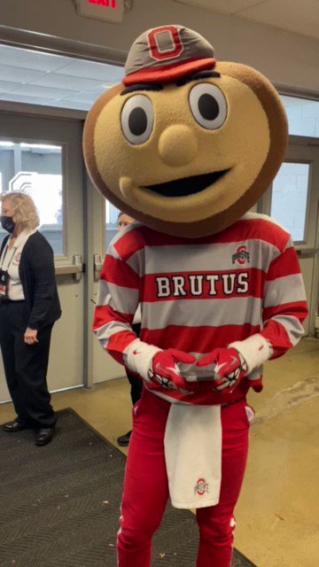 Brutus Costume