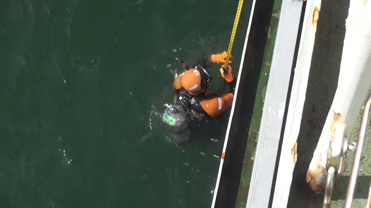 えるいー@LE装備 on Twitter: "RT @JCG_koho: 昨日の答えは、#潜水士 が使用している空気ボンベは約15㎏です。 足ひれ、マスク、ウェイトベルト等を合わせると合計重量 ...