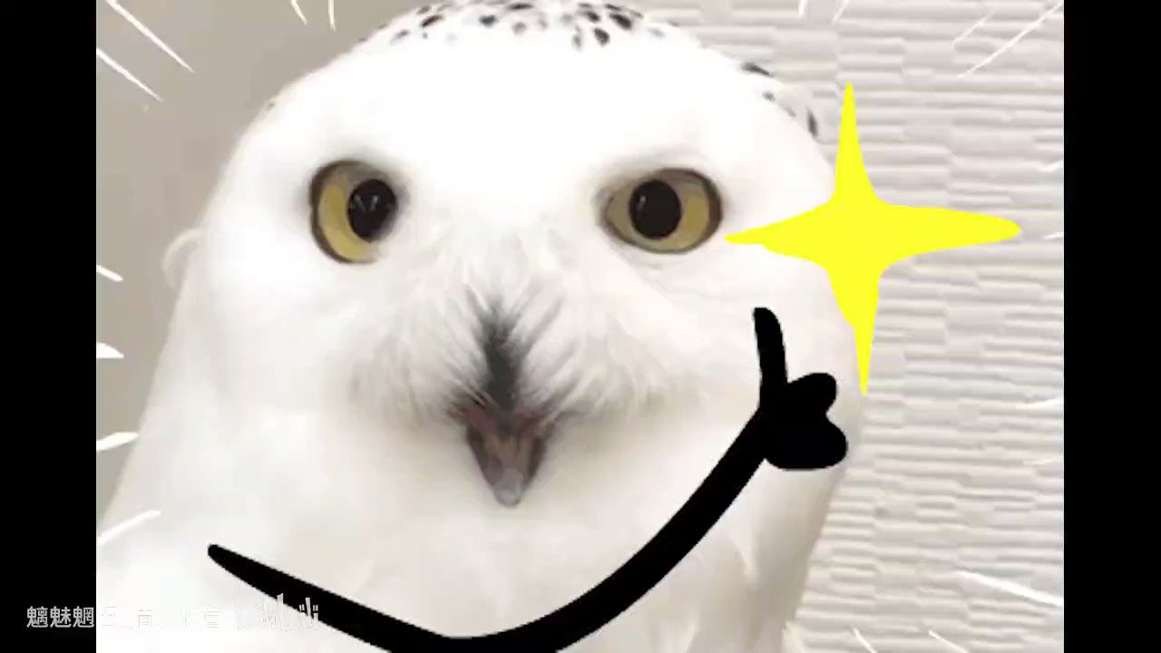 Alexander Gladun (@AlexanderGladun) / Twitter Alexander Gladun (@AlexanderGladun) / Twitter