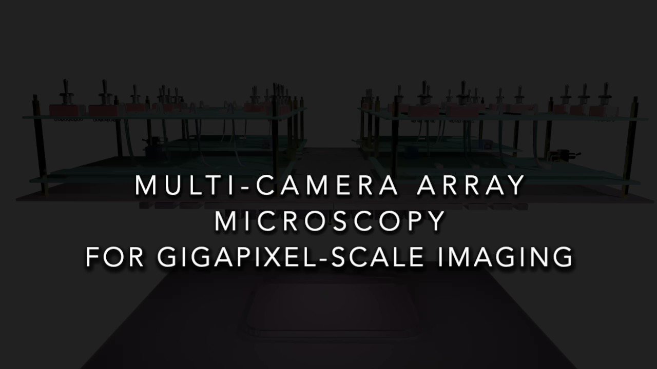 Amey Chaware (@AmeyChaware) / Twitter