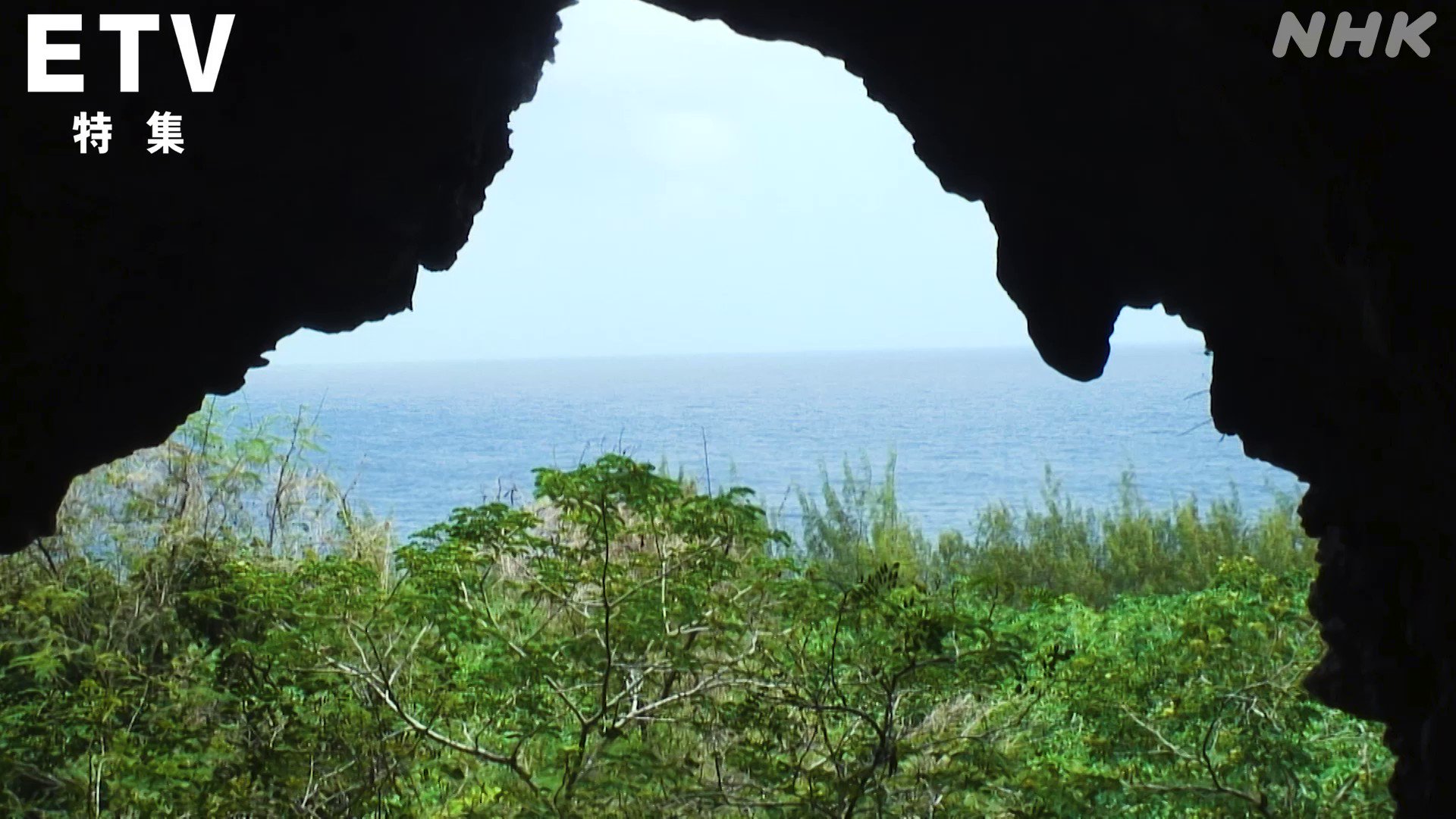 NHK「ETV特集」公式 on Twitter: "【今夜、再放送です！】深夜0時から NHK #Eテレ #ETV特集 「#玉砕の島を生きて ～テニアン島 日本人移民の記録～」 日米両軍が激突 ...