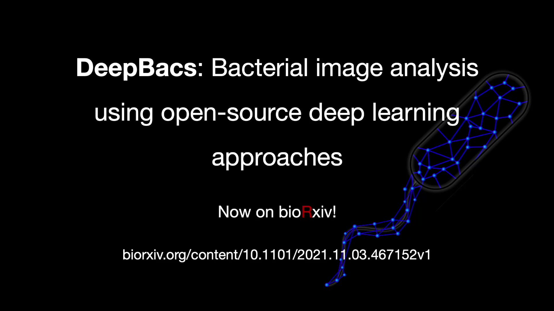 Andrea Vettiger (@AVettiger) / Twitter