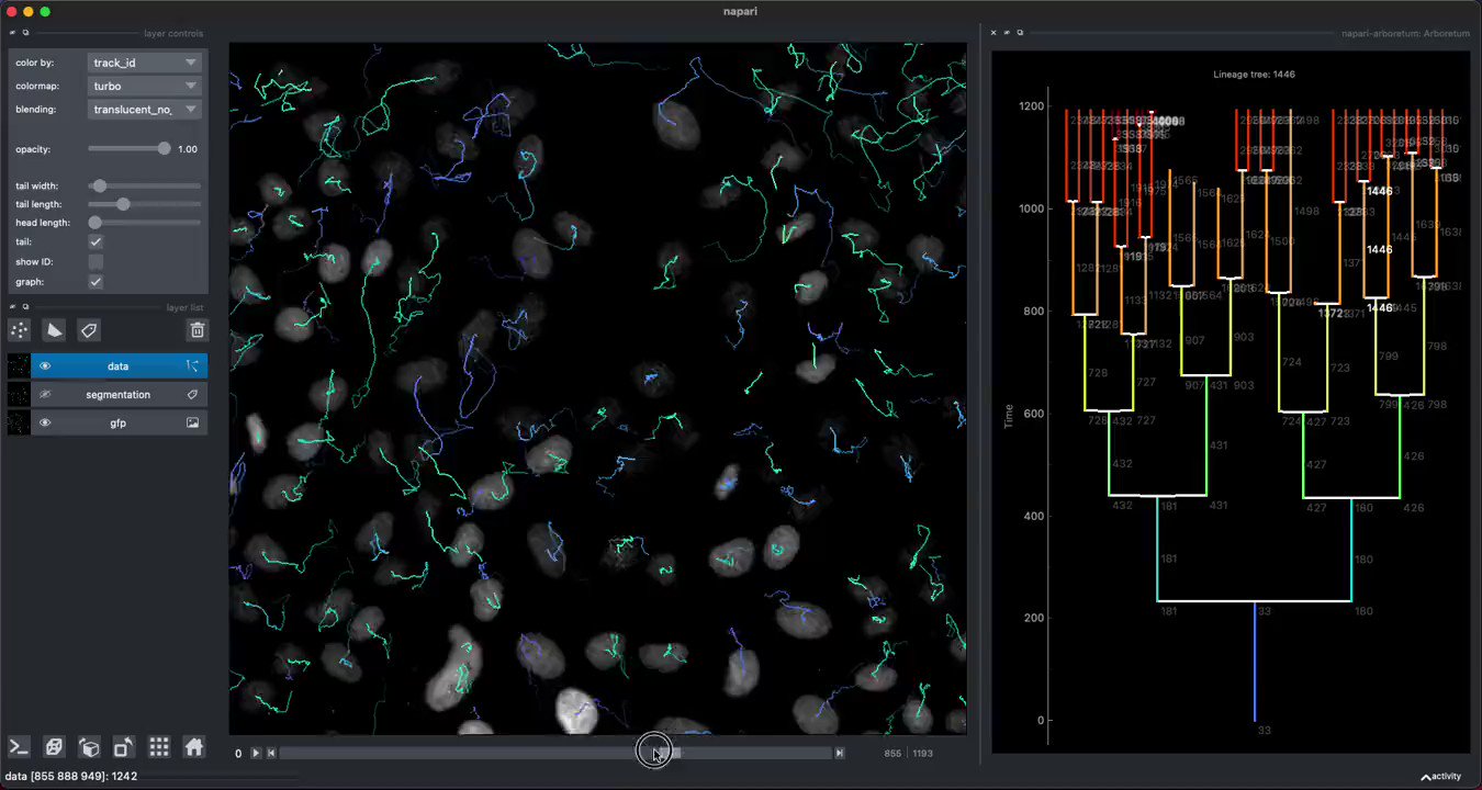 Alan Lowe (@quantumjot) / Twitter