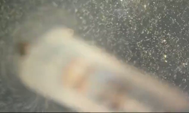 Daily Mail Online on Twitter: "Scientists have created the first 'living robots' that can ...