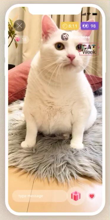 nekochan (@nekochan_app) / Twitter