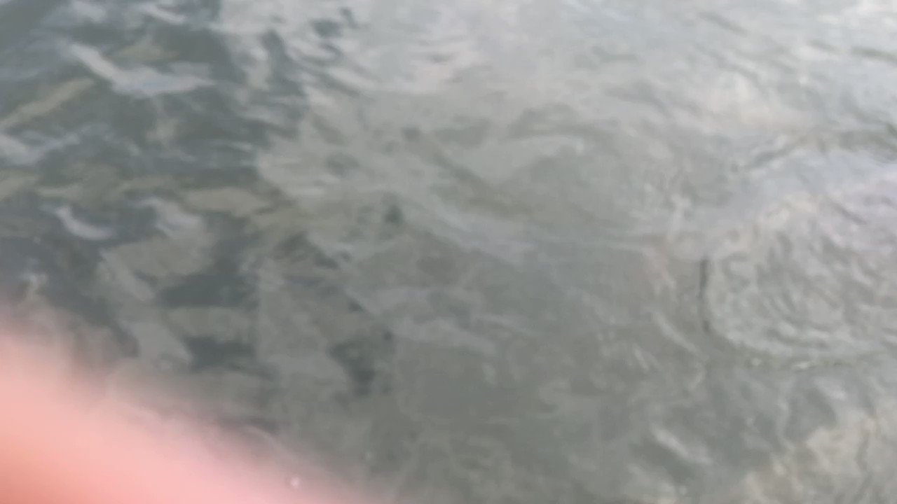 santoshi thapa (@santoshithapa8) / Twitter