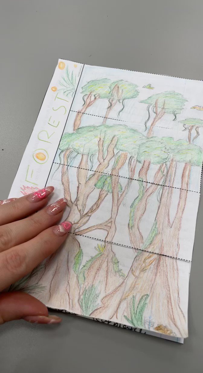 Emily Weston on Twitter: "Rainforest Layer Flap Books 🌿🍃 The children ...