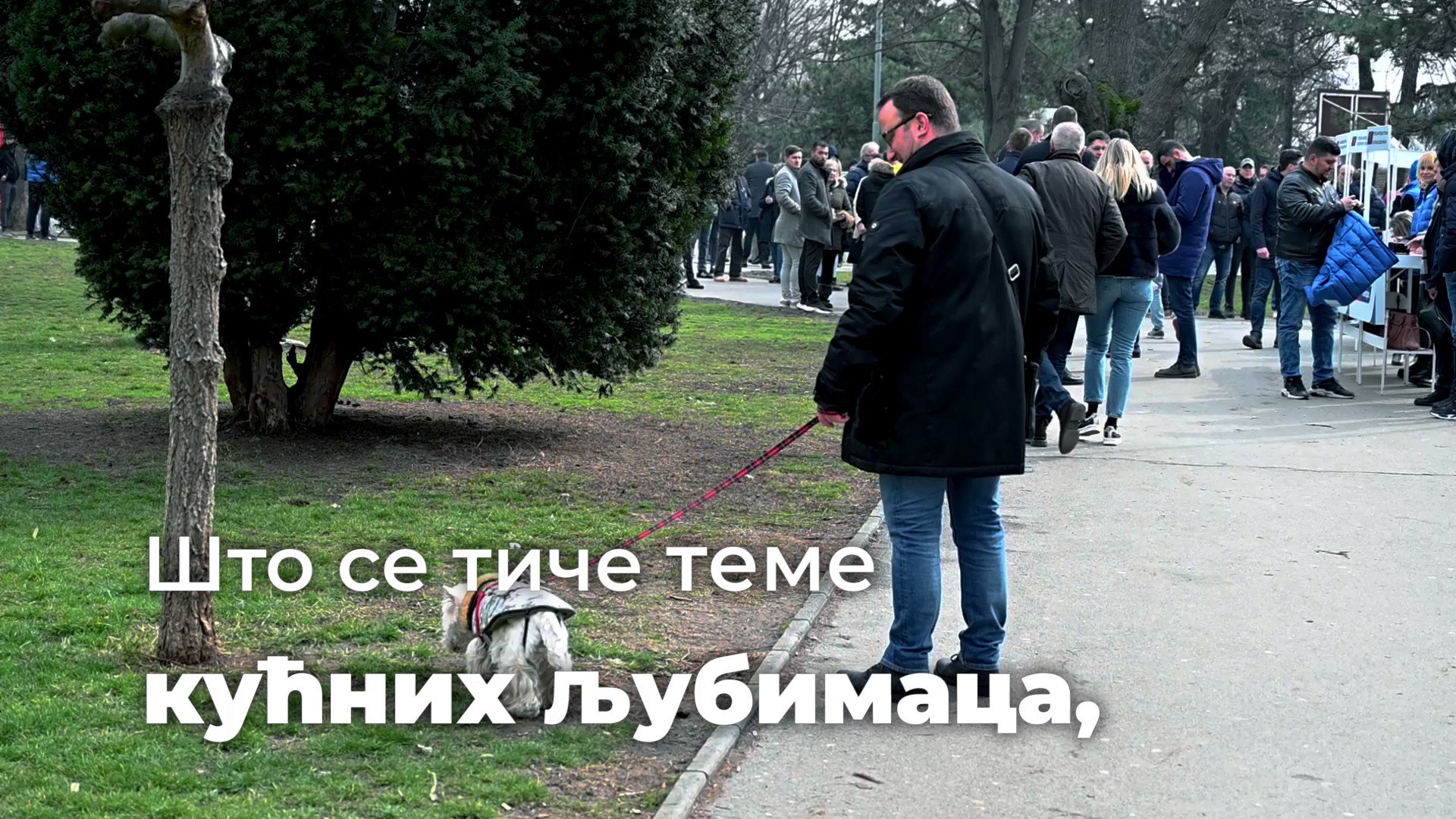 СНС СРБИЈА On Twitter У сваком парку у Београду требало би да постоји посебан део ограђен за