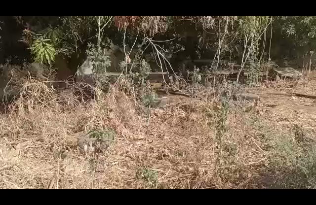 Zagazola on Twitter: "Exclussive VIDEO: Special Forces Troops of Operation Desert Sanity ...