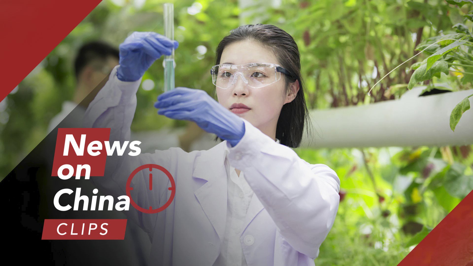 Dongsheng News on Twitter: "Chinese Women strive for economic ...