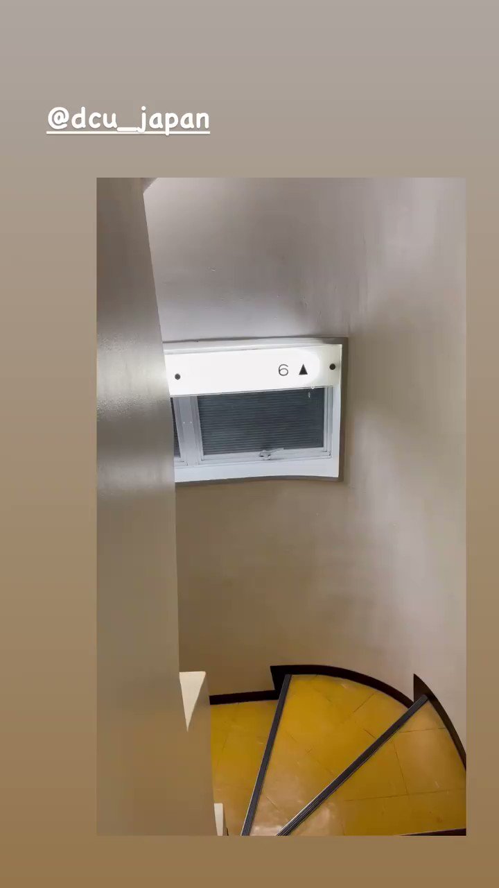 ももち On Twitter 昨日のストーリーめためた可愛い💞 近づいてきてカメラ目線でピースするのも可愛いしこっちを見てる眼差しでさえ