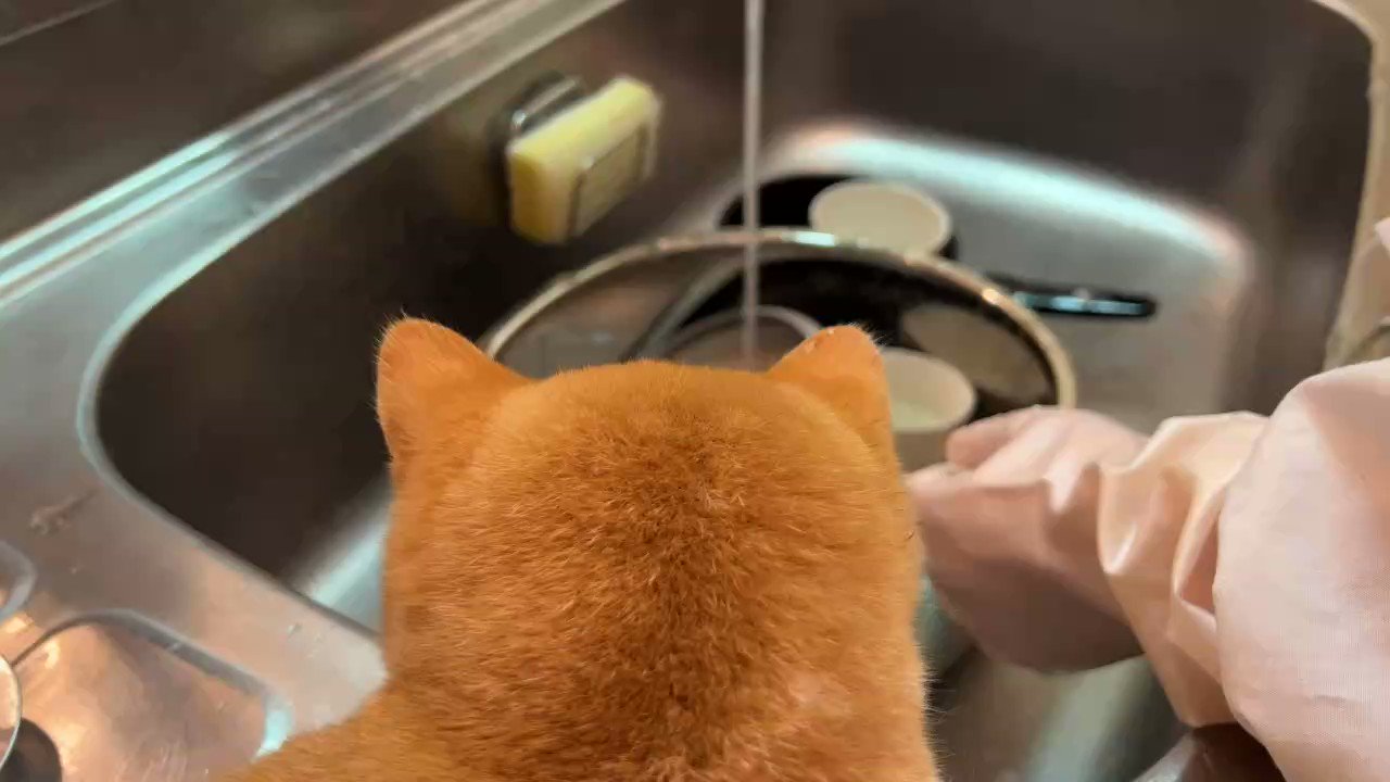 tico / mama's boy 🐣 (@ticoyaki) / Twitter