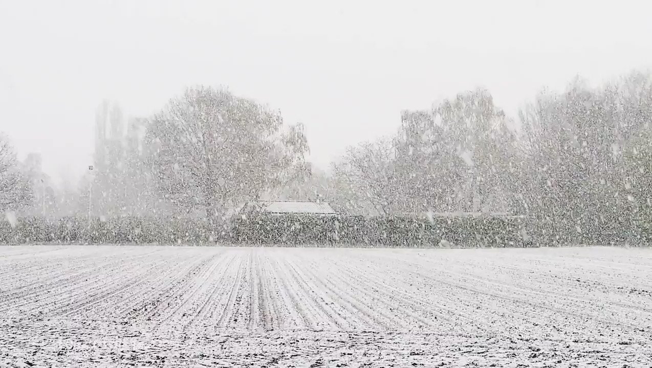 Buienradar on Twitter: "Vanochtend kon er lokaal al een sneeuwpop gebouwd worden🌨️☃️ Vanmiddag ...