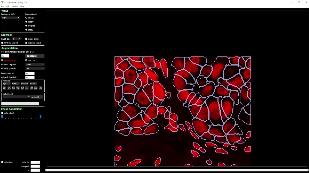 Marius Pachitariu 🇺🇦 on Twitter: "Releasing Cellpose 2.0 today! You can now train your own state ...