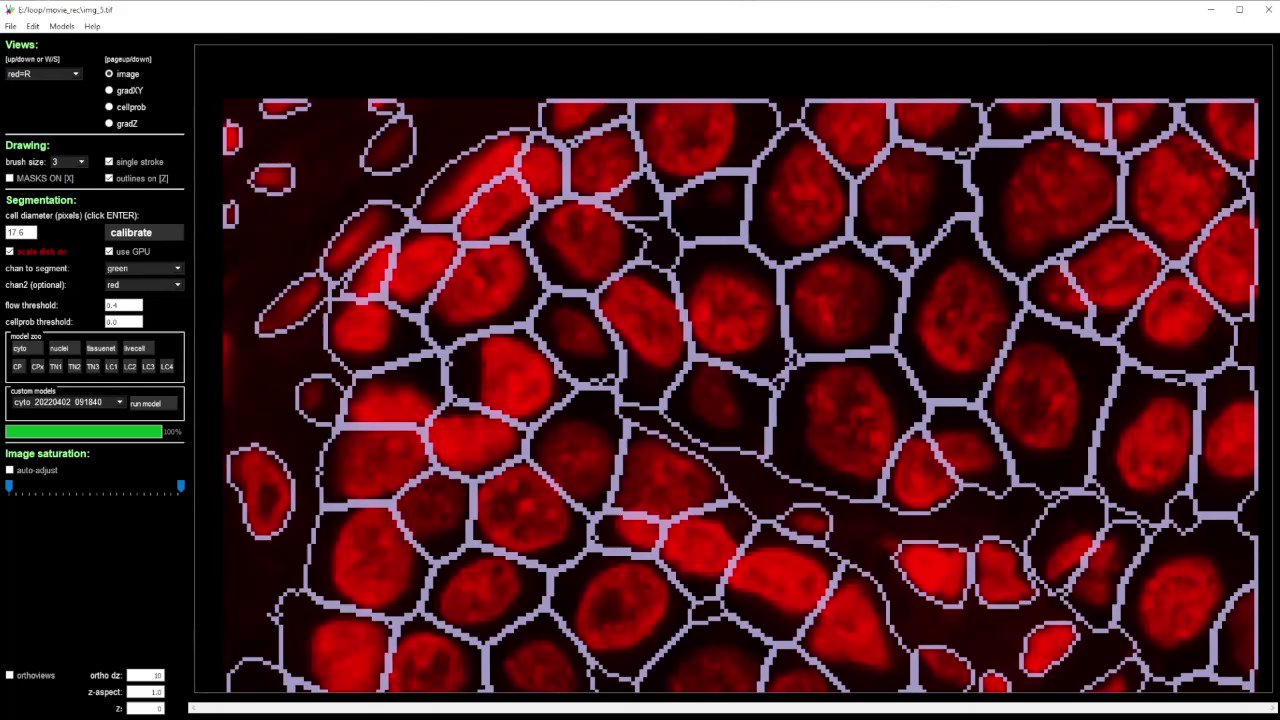 Marius Pachitariu 🇺🇦 on Twitter: "Releasing Cellpose 2.0 today! You can now train your own state ...