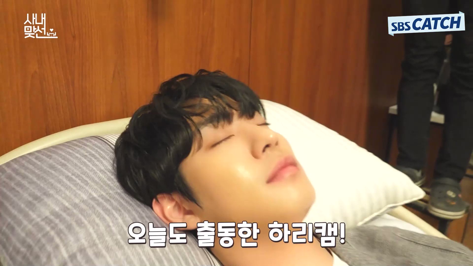 SBS Catch on Twitter: "잠자는 숲속의 태무 보신 모든 분들 오늘부터 꿀잠🌙하세요. 태무꿈 꾸시면 더 좋고요. ☞잠자는 숲속의 태무 풀버전 보러가기 ...