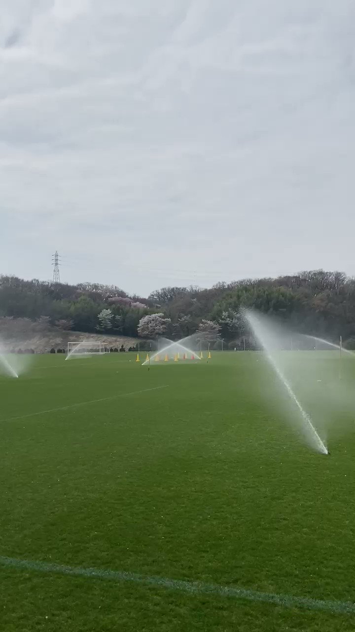 yuu (@yuu31_zelsapo) / Twitter