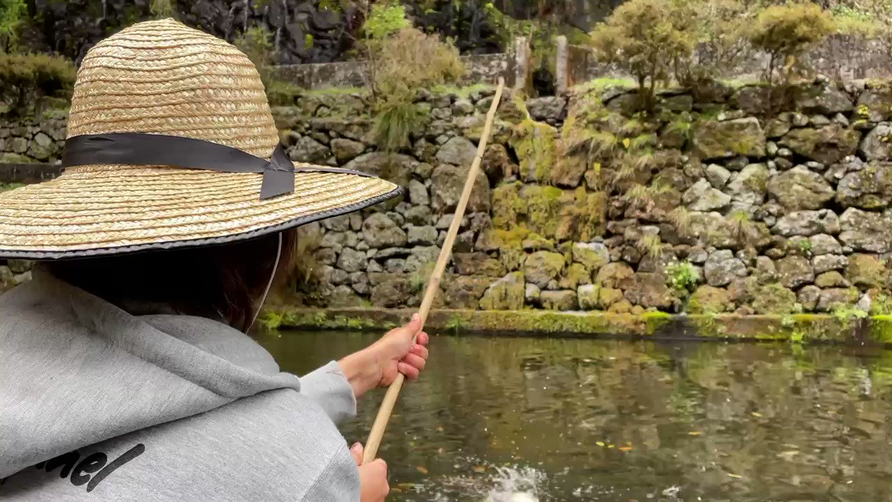 でぃーんとtetu channel (@tetu_deen) / Twitter