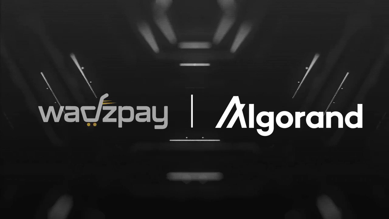 WadzPay on Twitter: "@Algorand is a high-performance, next generation ISO 20022 and Sharia ...