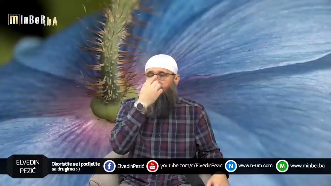 Bodljikava 🇷🇸 on Twitter: "Da li je kripto halal? 😄 https://t.co/7uEcoxa6sG" / Twitter