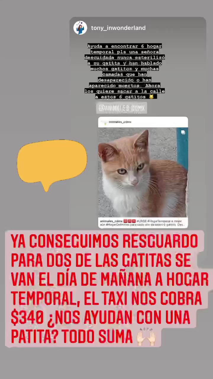 AnimalesCDMX on Twitter: AnimalesCDMX on Twitter: