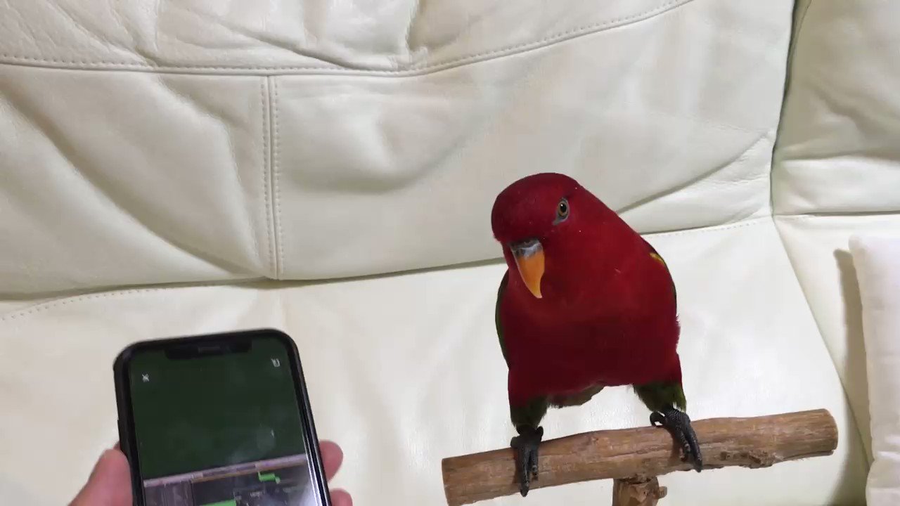 Hideaki Utsumi on Twitter: "☺️☺️☺️ https://t.co/m1wh6VeQ1K" / Twitter