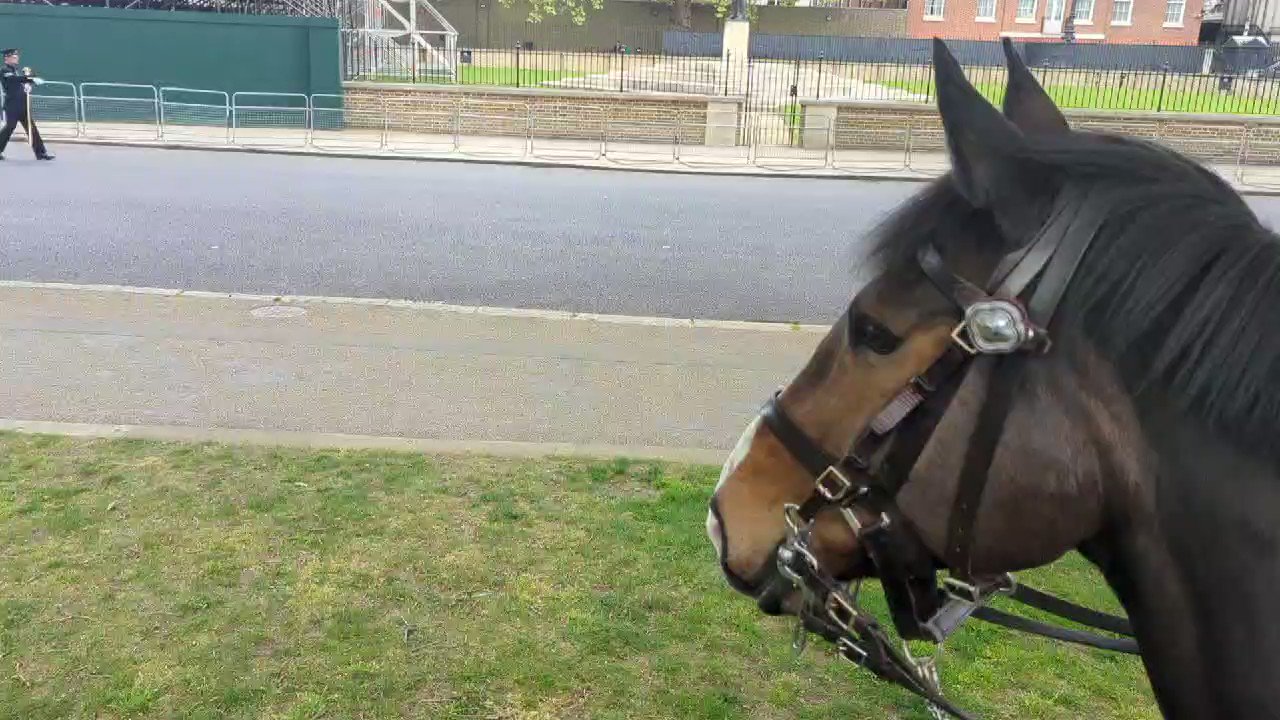 Emma Colley (@EJColley) / Twitter