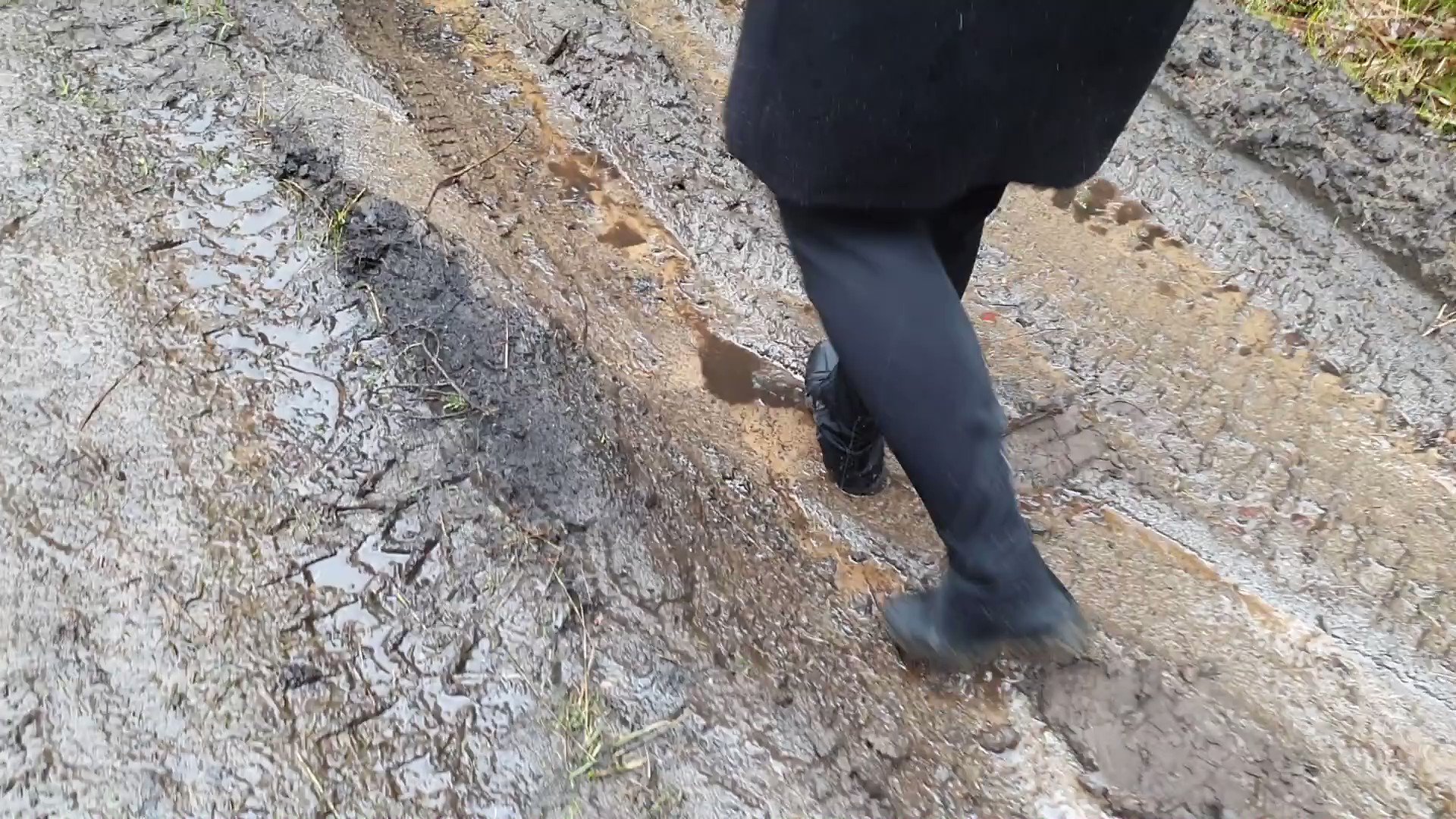 HeelsDazeOrg (@DazeOrg) / Twitter