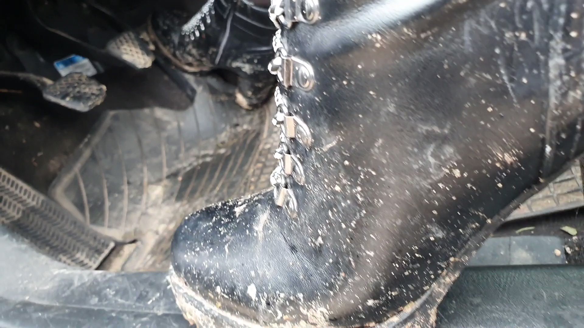 HeelsDazeOrg (@DazeOrg) / Twitter