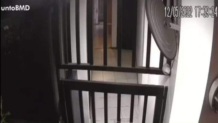Bnews On Twitter Vídeo Mostra Momento Em Que Marceneiro Entra No