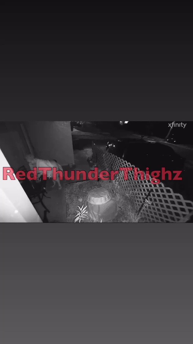Redthunderthighz On Twitter Im Just Addicted To Having My Ass Eaten