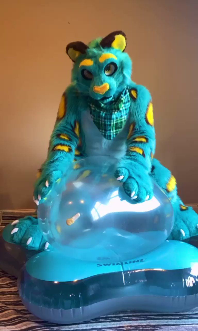 CIDR on Twitter: "Finally the weekend, which means it’s finally time for #SqueakySaturday ...