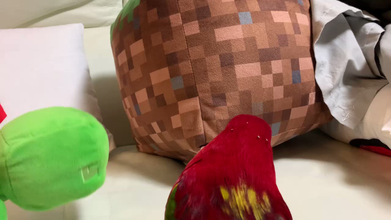 Hideaki Utsumi on Twitter: "@dosukoi_riki4 これですね https://t.co/kuRMwNmaJS" / Twitter