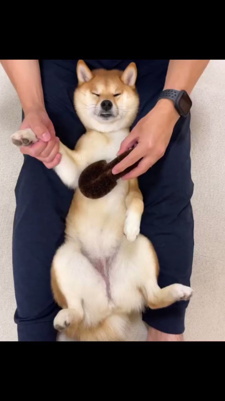 Catalina 🅳🅾🅶🅴 on Twitter: "Relax, everything will be better 💛 #Dogecoin $Doge #Doge https://t.co ...