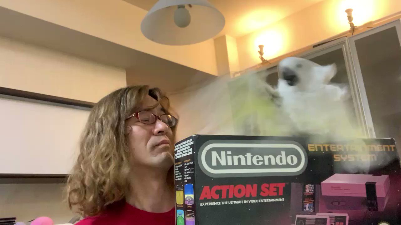 Hideaki Utsumi on Twitter: "White birb🥚NES ACTION SET https://t.co/bs5y1Lvkqv @YouTube https://t ...