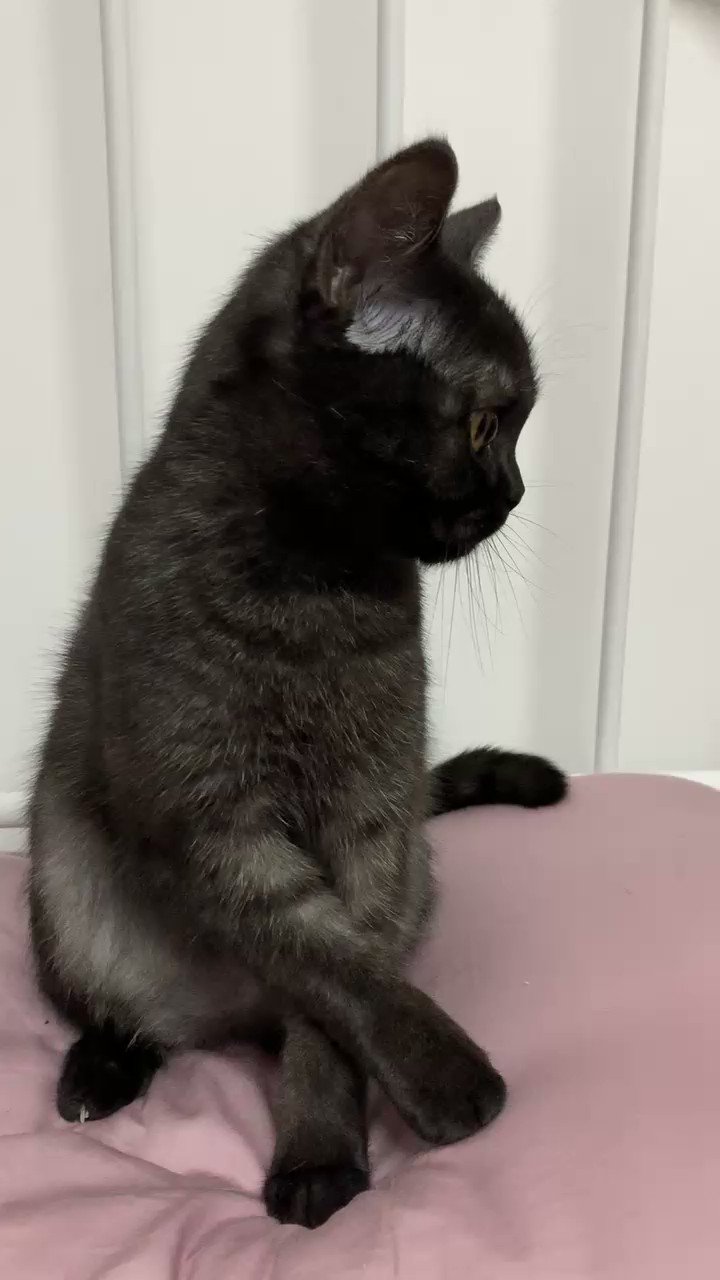 Tw93 (@HiTw93) / Twitter