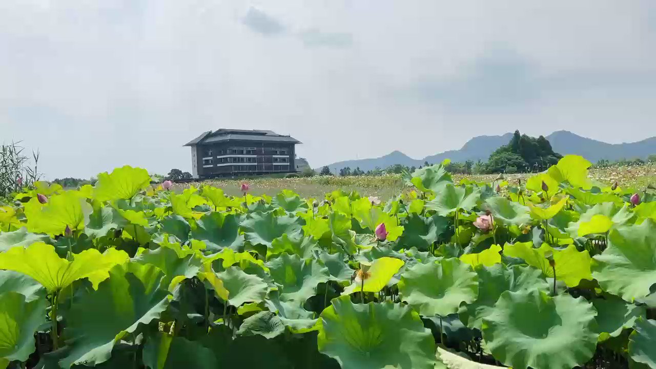 Tw93 (@HiTw93) / Twitter