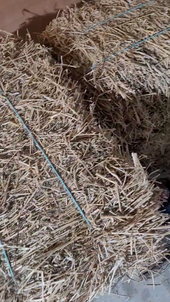 Lacy Larson On Twitter Its So Cold Outside Today I Made A Video Squirting In My Wranglers ๐