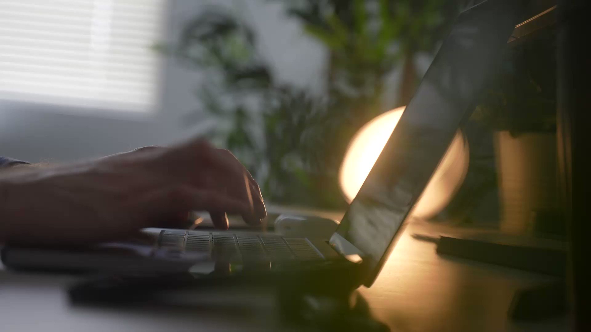 Adrian Twarog 🦘 (@adrian_twarog) / Twitter